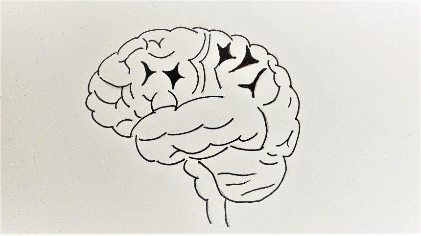 How the brain stores memories: the gist in one amazing infographic ...